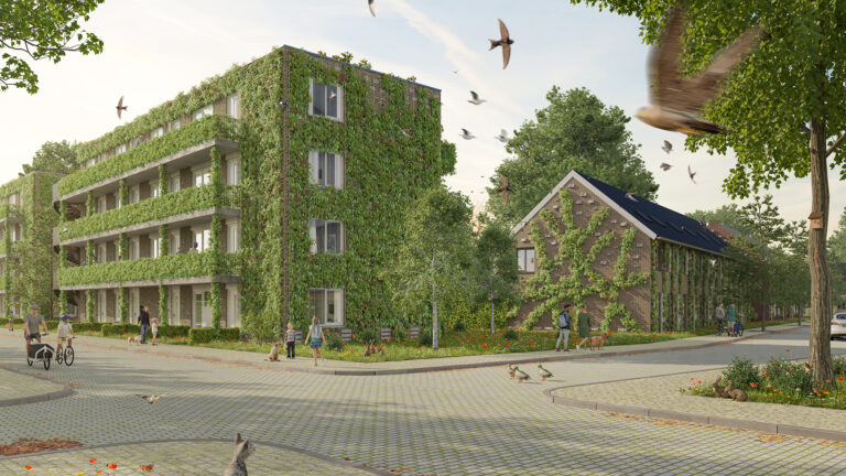 Kies voor de Groengevels van Unitura! Versterkt de biodiversiteit