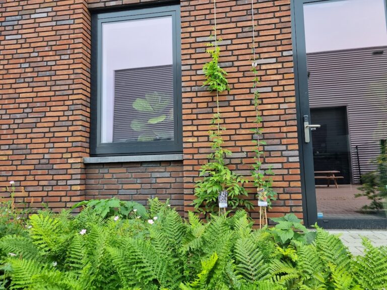 Kies voor de Groengevels van Unitura! Versterkt de biodiversiteit